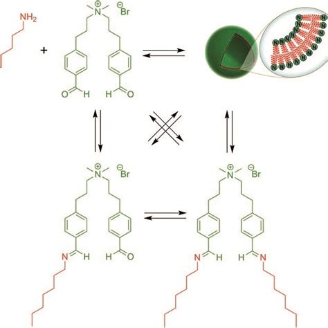 Dynamic Vesicle Formation Based On Covalent Imine Bonds Download