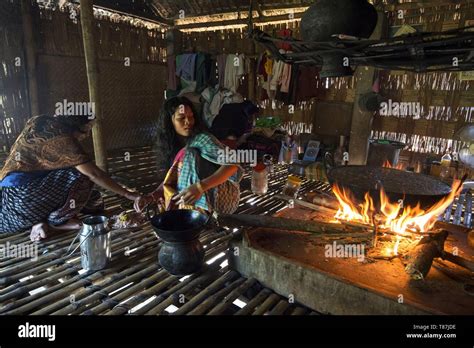 India Assam Majuli Island In The Middle Of The Brahmapoutre River Mishing Tribal Village