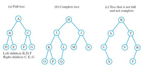 General Trees And Binary Trees