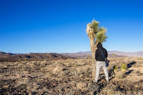 Indecent Exposure Laws In Arizona Ars 13 1402 Gurion Legal
