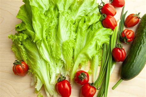샐러드 잎과 토마토 파와 오이 최고 보기 샐러드에 대한 신선한 야채에서 배경 포스터 스크린 세이버 벽지 엽서 커버 웹 사이트에