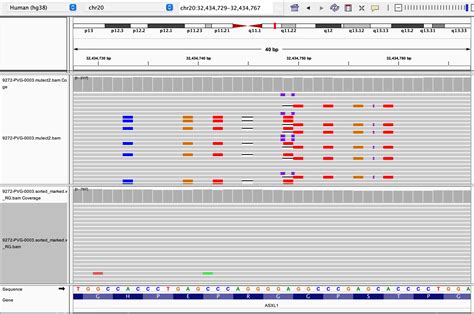 False Positive Indels By Mutect2 Gatk