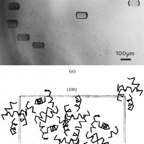 A Orientation Of Tetragonal Crystals Of Lysozyme Nucleated In A
