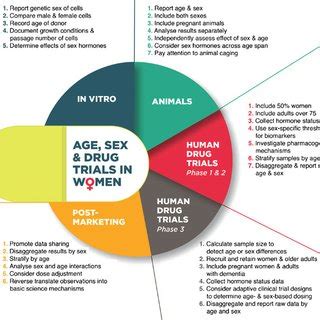 Cycle Of Age And Sex Specific Translational And Posttranslational Download Scientific Diagram