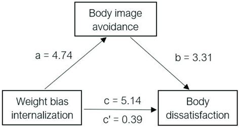 Mediated Relationship Between Weight Bias Internalization And Body