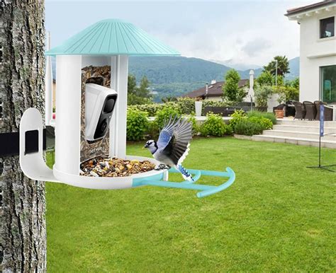 best bird feeder cameras of 2023 glenlivet wildlife