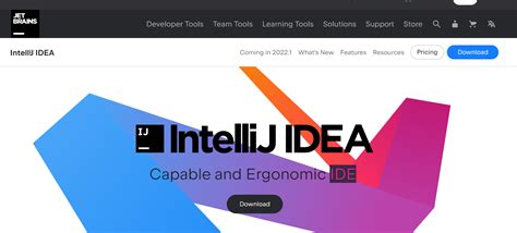 没写完javaIDEA 调教界面设置语言插件的使用 罗芭Remoo 博客园