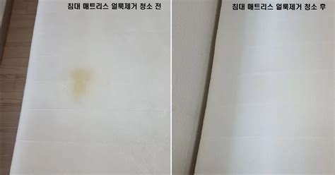 침대 매트리스 오줌 얼룩 제거 클린공방 숨고 숨은고수