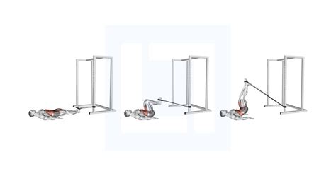 Curl Up Guide Benefits And Form Curl Up Guide Benefits And Form