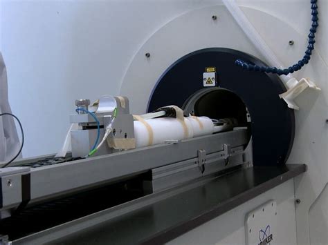 Monitoring Dendritic Cell Migration Using 19f 1h Magnetic Resonance