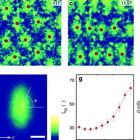 Anisotropic Vortices And Vortex Lattice Transition A E Subtracted Download Scientific Diagram
