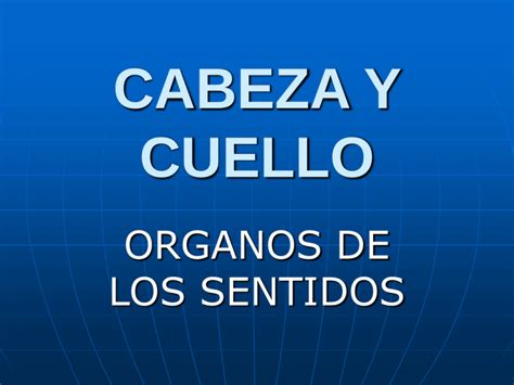 Cabeza Y Cuello