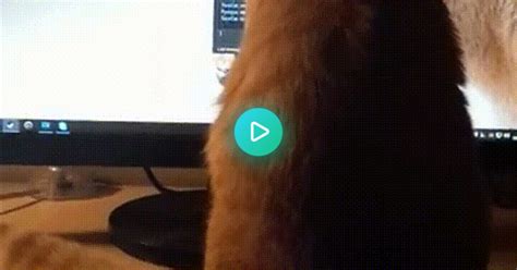 Cursor  On Imgur