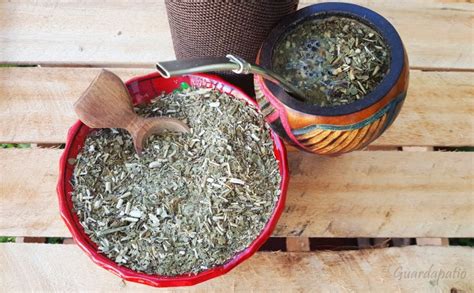 Propiedades De La Yerba Mate Guardapatio