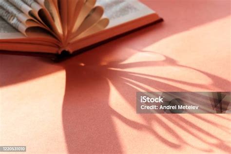 분홍색 배경에 멋진 그림자를 투사 햇빛에 말린 페이지와 책 개념에 대한 스톡 사진 및 기타 이미지 개념 교육 만짐 Istock