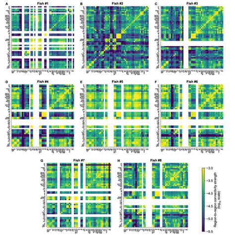Figure Supplement 1 Functional Connectivity Matrices Of All Fish 8