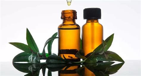 مرهم سیاه برای کیست مویی