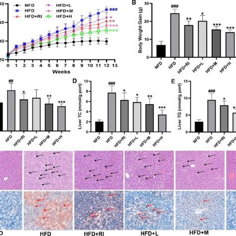 Effects Of Eae On Nafld Induced By High Fat Diet Hfd In Mice A