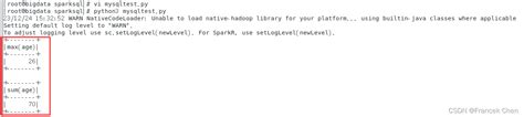 Spark编程实验三Spark SQL编程 阿里云开发者社区