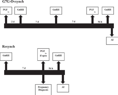 Timed Ai G7g Ovsynch And Resynch Protocols Using Pgf 2α And Gnrh The Download Scientific