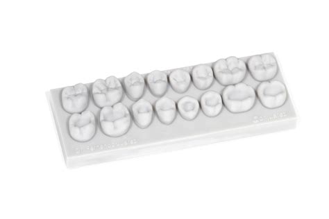 Archivo Stl Modelo Dental Con Cavidades Para Práctica Oclusal Posterior