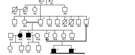 Solved Which Mendelian Inheritance Pattern Best Explains