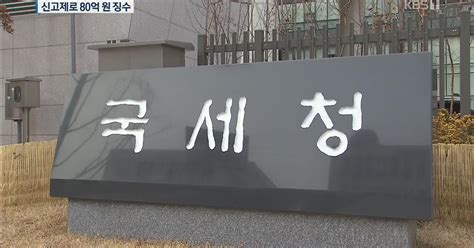 고액체납자 은닉재산 신고제로 80억 징수