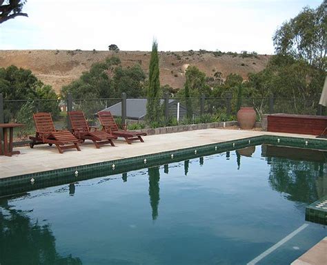 Chicken Wire Pool Fence As You Can See Its Barely Visible
