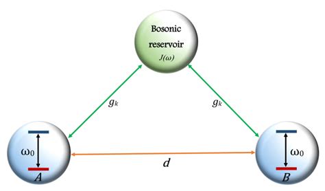 A Schematic Of Two Qubits Interacting With A Bosonic Reservoir With The