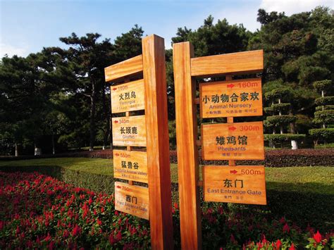 2025长春动植物公园游玩攻略 长春动植物园门票价格很亲民 去哪儿攻略