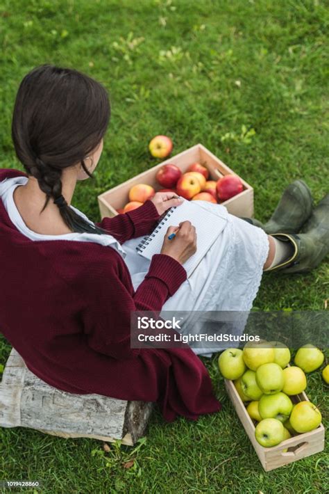 메모장에서 작성 하 고 사과 나무 상자와 함께 정원에서 앉아 여자의 후면 보기 건강한 식생활에 대한 스톡 사진 및 기타 이미지
