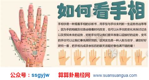 看手相算命图解你的爱情生涯（手相） 风雅颂易学网