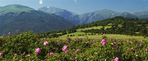 В региона Вила Франк
