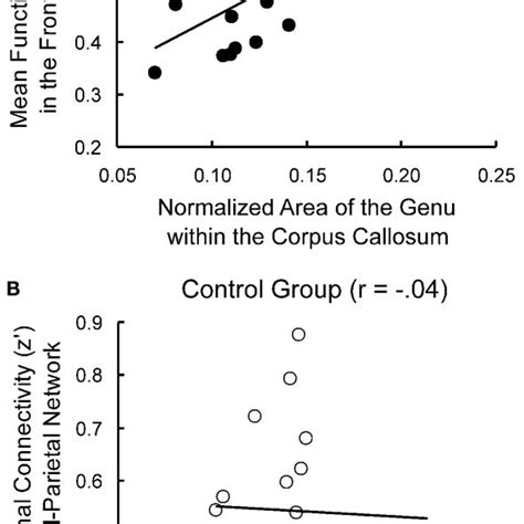 Correlations Between Functional And Anatomical Connectivity Functional Download Scientific
