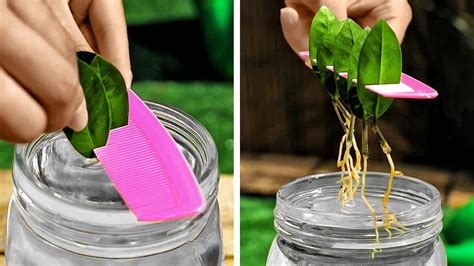 Useful Planting Hacks For Beginners Youtube