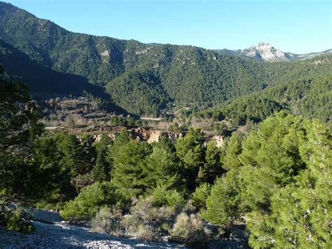 Λίμνη Τσιβλού Ζαρούχλα Τουριστική Πύλη Διαμονή Ταβέρνες Cafe Bar