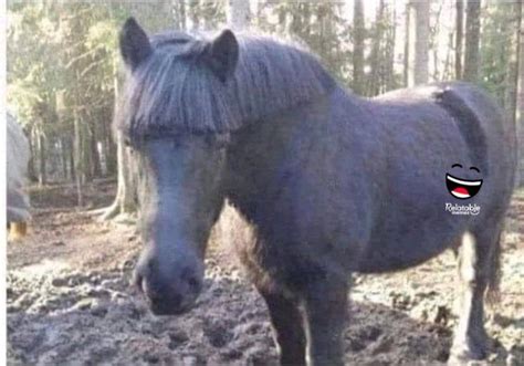 When Backend Dev Tries To Do The Ui😂 Dovud Yusufzoda