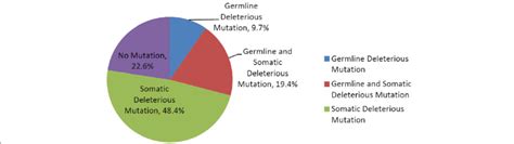 Overall Germline And Somatic Mutations In 62 Cases Download