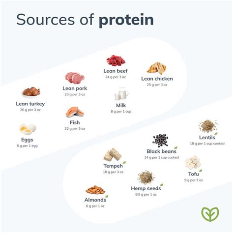 Protein After Bariatric Surgery Is It Necessary 1