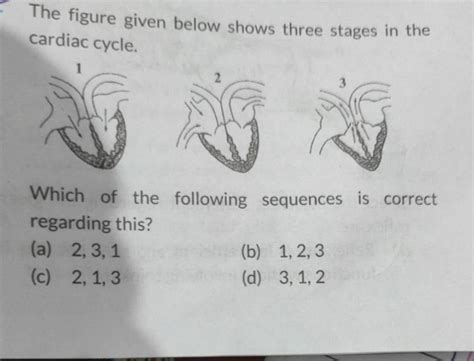 The Figure Given Below Shows Three Stages In The Cardiac Cycle Which Of