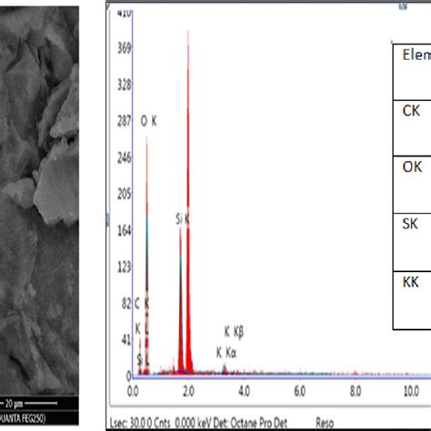 The Sem Micrograph And Edx Analysis Of The Banana Peels Activated
