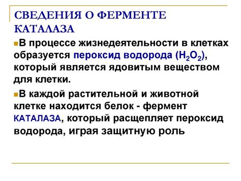 Биологические катализаторы - презентация онлайн