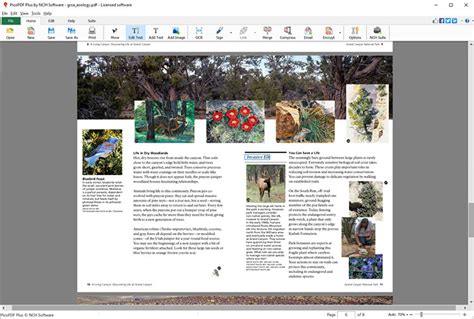 PicoPDF Screenshots