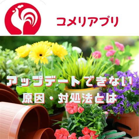 コメリアプリがアップデートできない原因と対処法とは