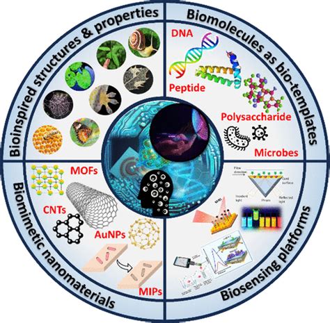 Biomimeticbioderived Nanoengineered Interfaces For Biosensor Applications A Review Acs