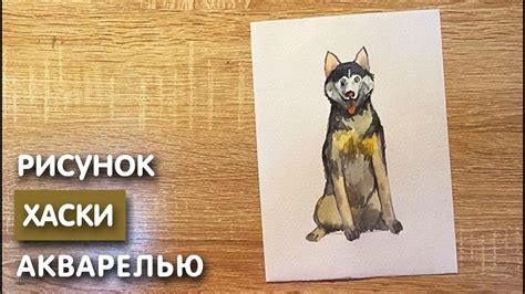 Как нарисовать Хаски карандашом и акварелью начинающим Рисунок для детей Youtube