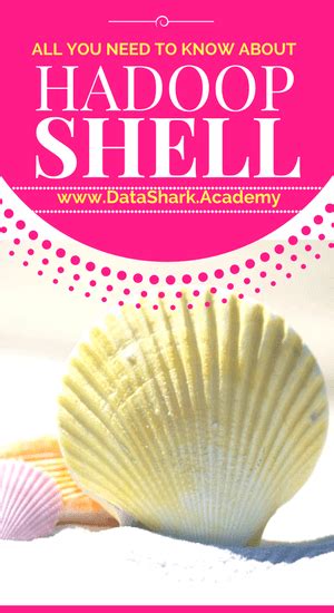 Everything You Need To Know About Hadoop Shell And Master Big Data