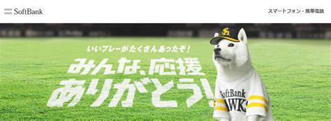 ソフトバンクホークス、応援感謝キャンペーンを実施 ポイ探ニュース