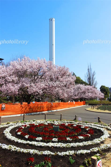 芦花公園の春 写真素材 7198899 フォトライブラリー photolibrary
