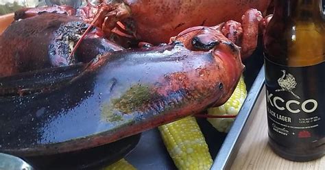 Corn For Reference Imgur